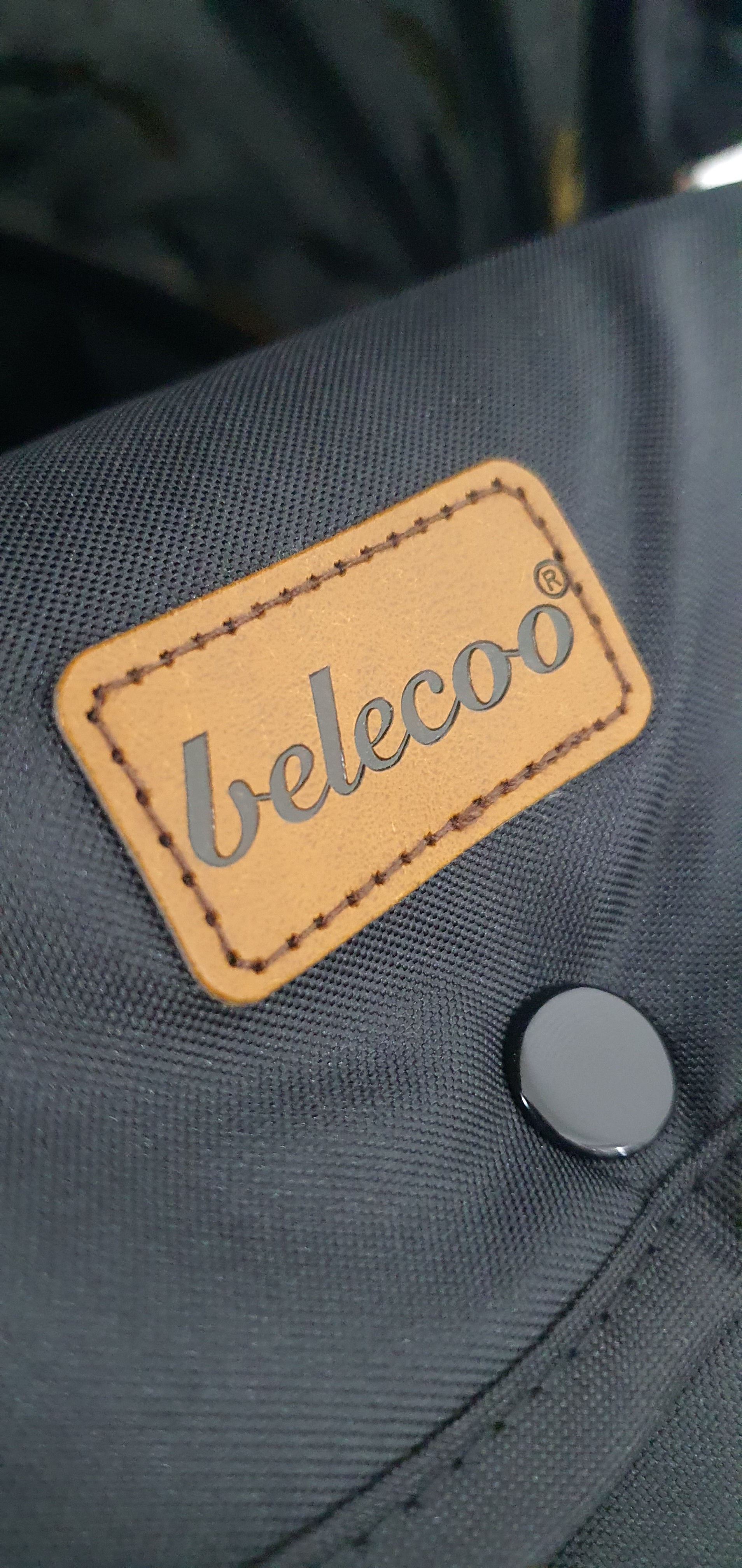 Belecoo Q3 Limited Edition Gold Leaf Print – belecooza